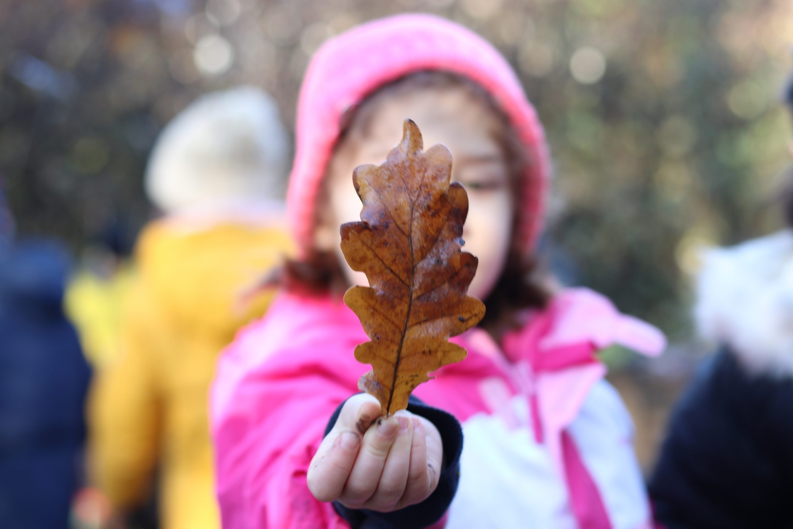 Nidi e scuole - ASBR